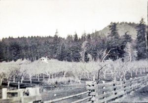 Park History | PKOLS – Mount Douglas Conservancy
